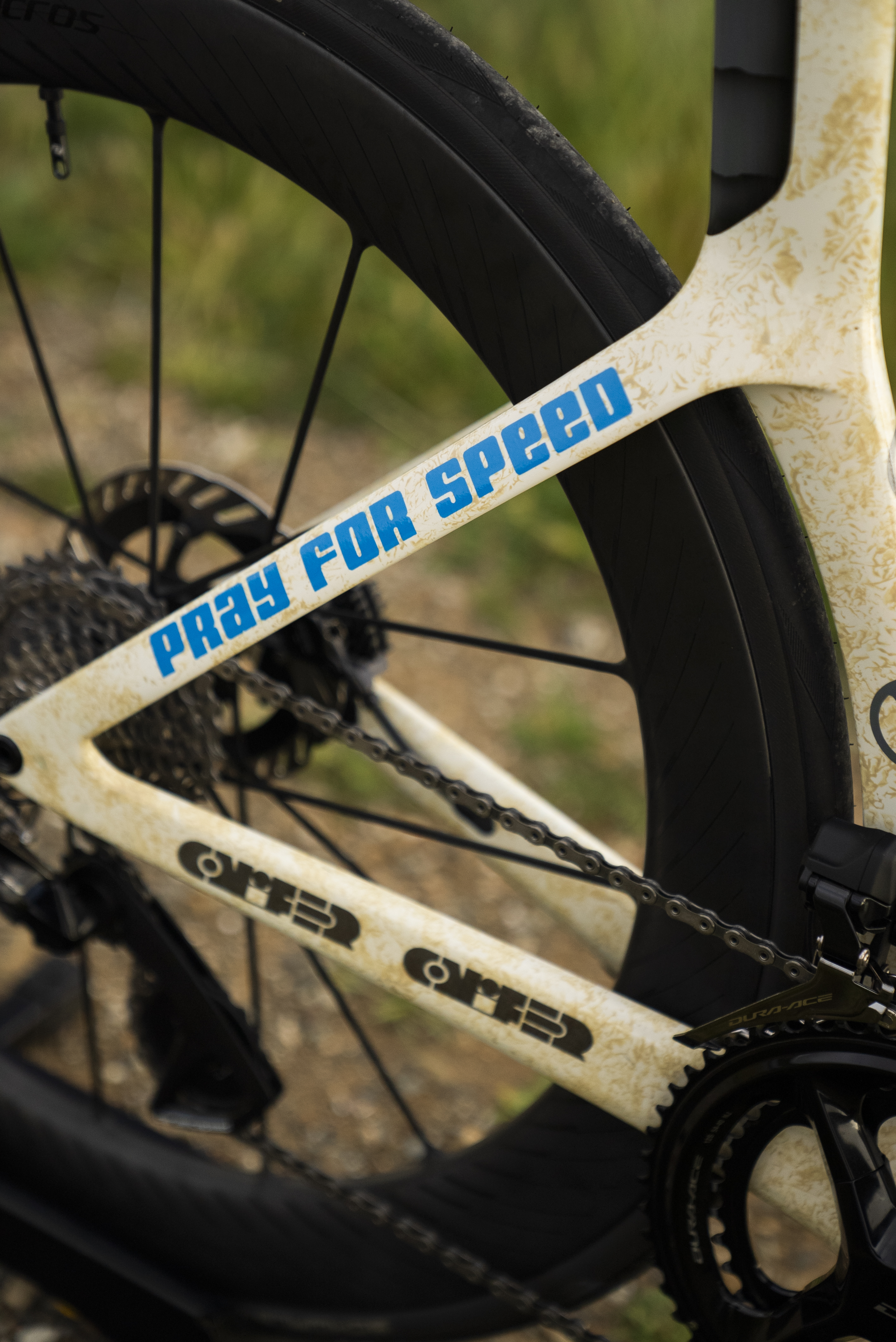 Safa Brian Set To Unveil Pray For Speed X Ornamental Conifer Project At ...