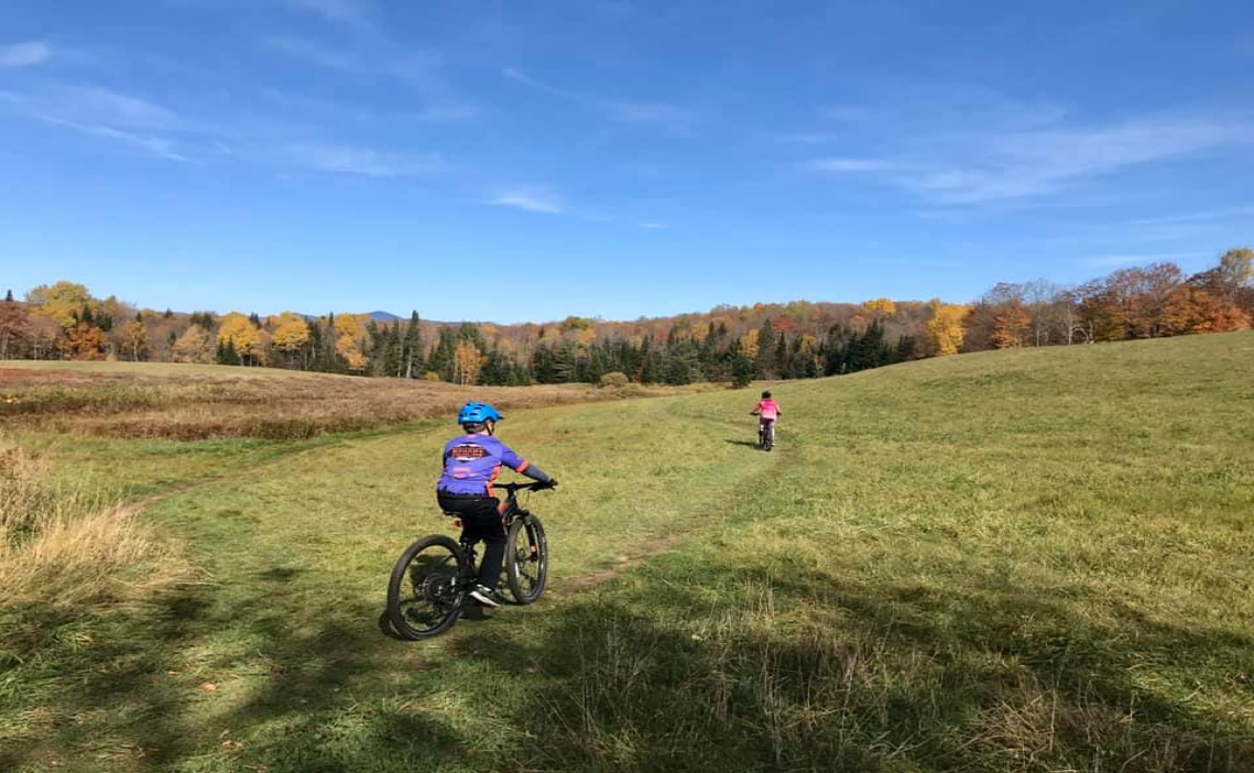 This could be the start of Bike Boom 2020 | Bicycle Retailer and ...