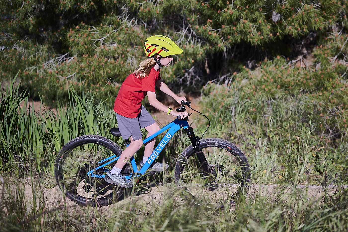 Prevelo Expands IBD Services With Beeline Connect Integration | Bicycle ...