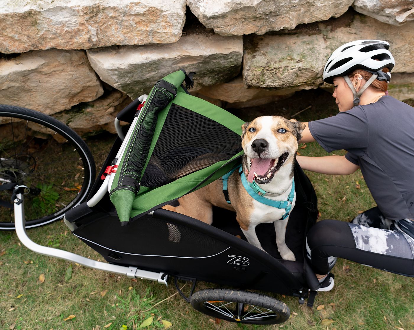 Burley has new line of pet bike trailers and accessories | Bicycle ...