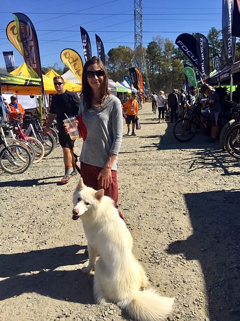 CycloFest connects consumers with brands, draws regional retailers for ...