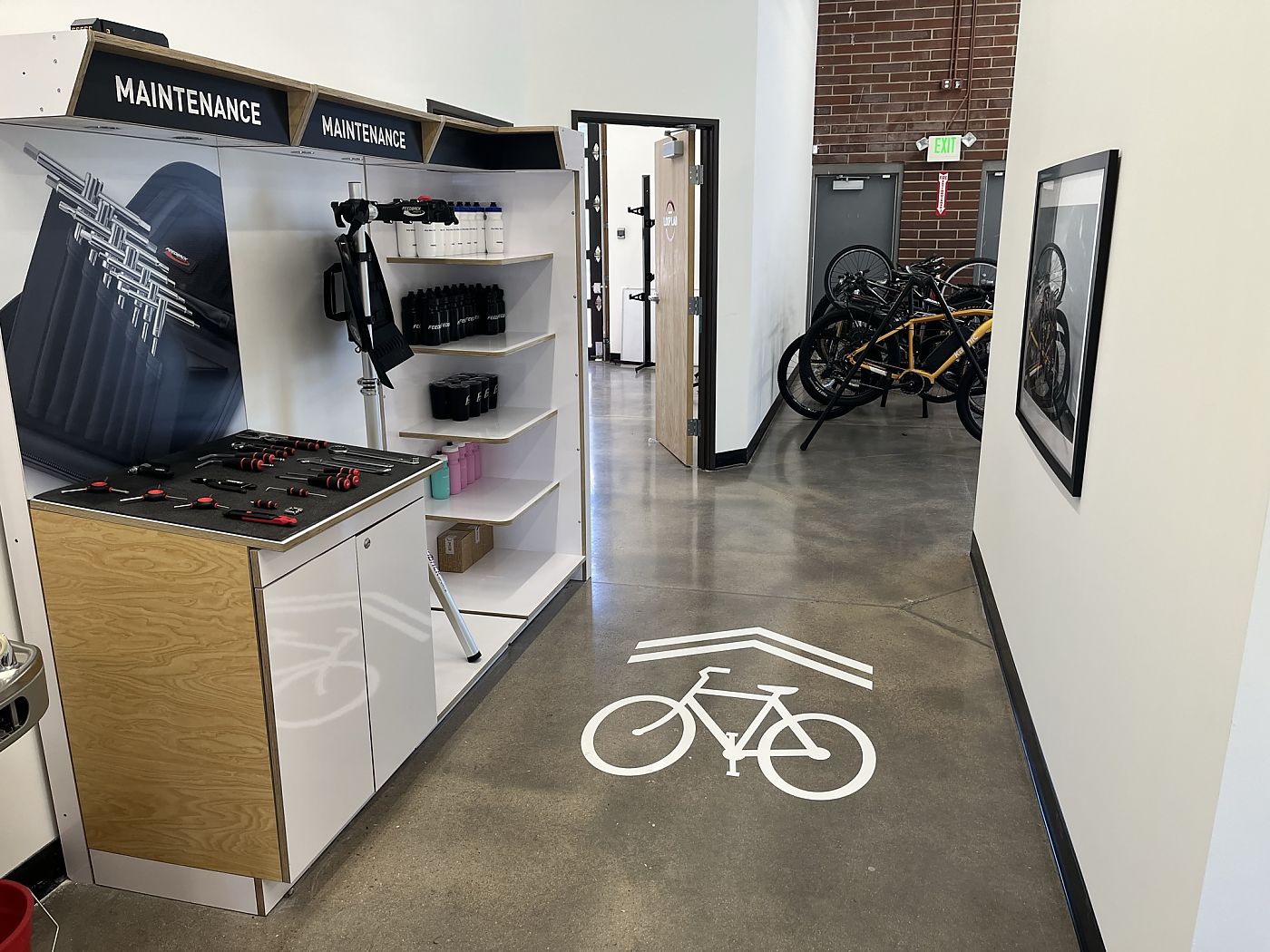 Feedback Sports Hires New Operations Staff, Moves into New Office in ...