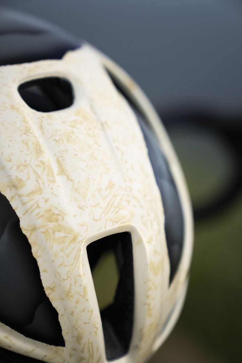 Safa Brian Set To Unveil Pray For Speed X Ornamental Conifer Project At ...