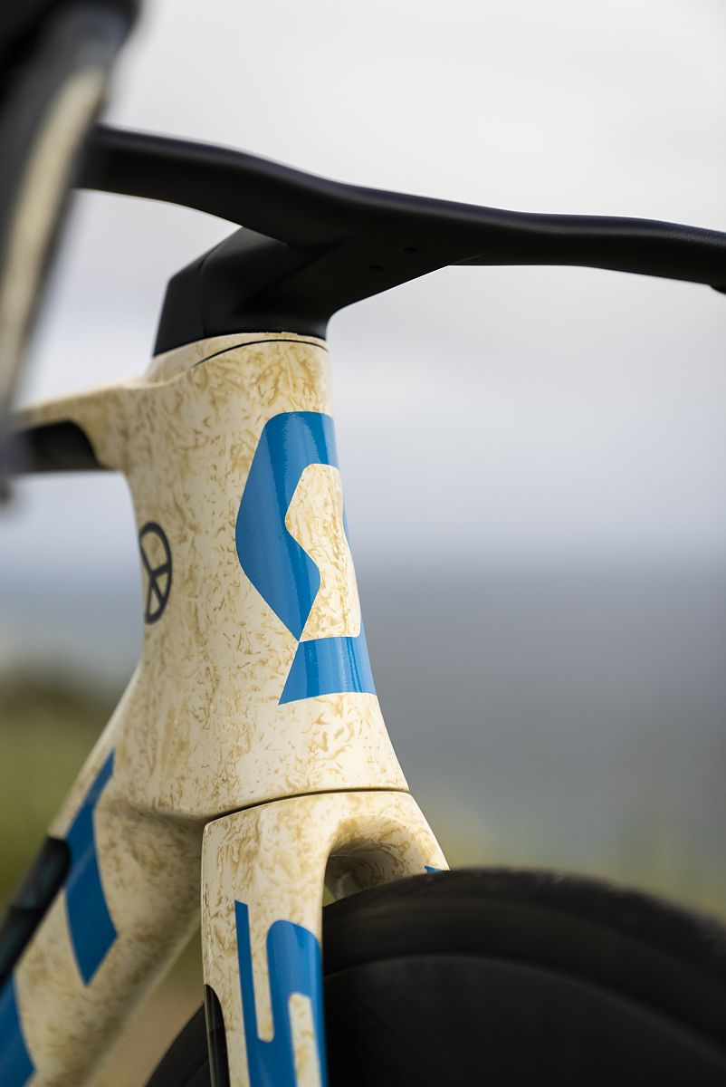 Safa Brian Set To Unveil Pray For Speed X Ornamental Conifer Project At ...